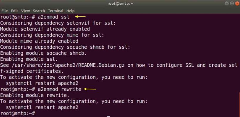 Install OpenSSL Apache Certificate On Ubuntu 18.04 to 20.04- TechsBucket