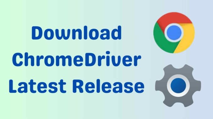 Download ChromeDriver: ChromeDriver Latest Release - TechsBucket